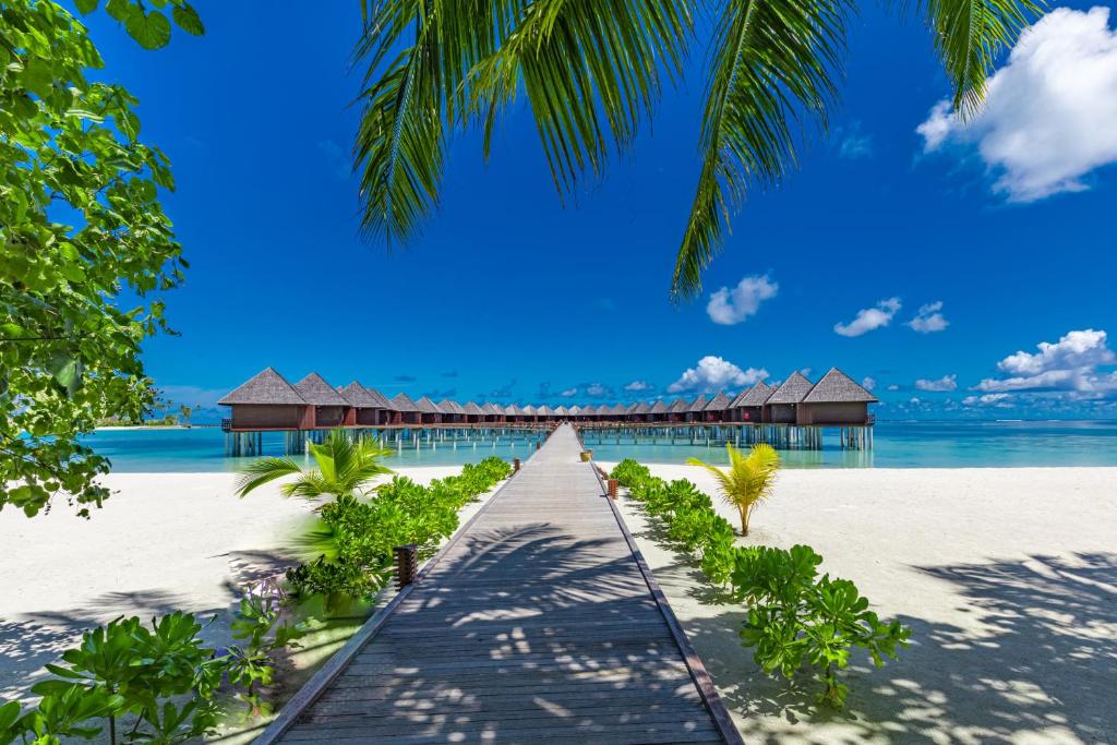 Sun Siyam Olhuveli – Luxury 5-Star Resort Day Trip | Follow Me To Maldives