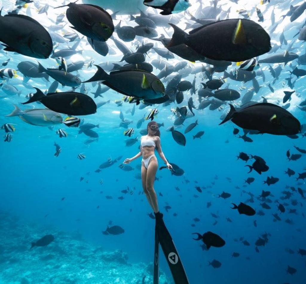 Kaafu Atoll Explore Package – Snorkeling, Island Visit, Sandbank Lunch ...