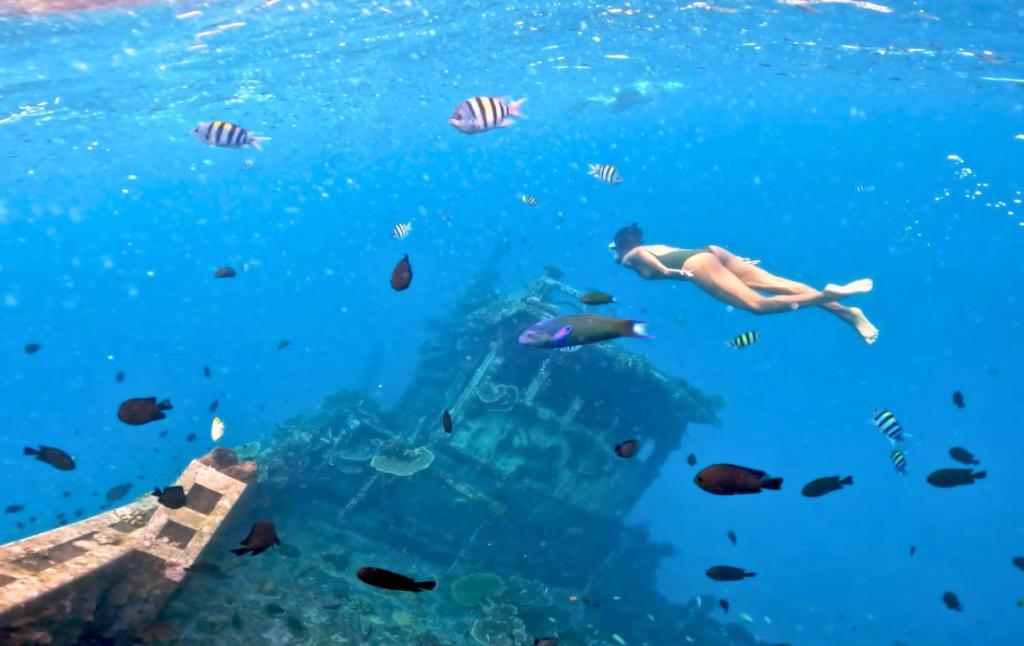 Shipwreck Snorkeling Adventure with Nurse Sharks, Dolphins & Sandbank ...