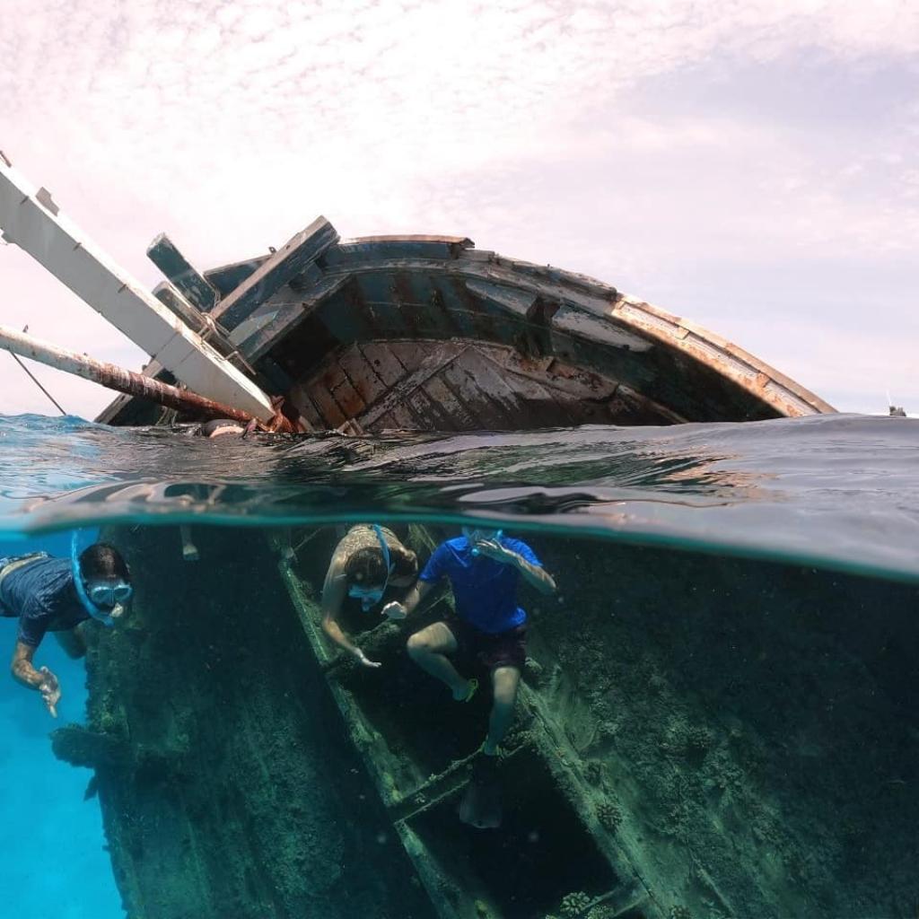 Shipwreck Snorkeling Adventure with Nurse Sharks, Dolphins & Sandbank ...