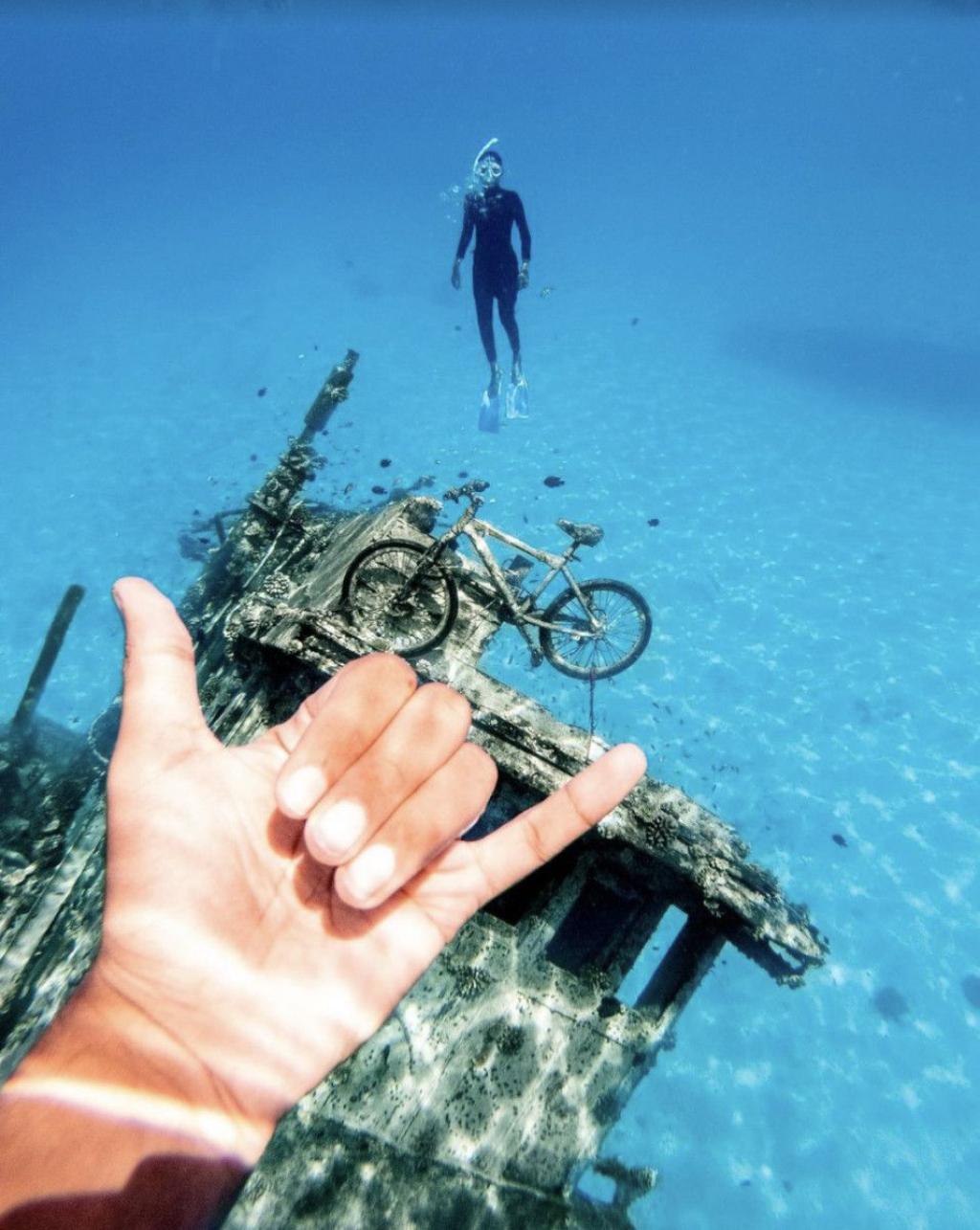 Shipwreck Snorkeling Adventure with Nurse Sharks, Dolphins & Sandbank ...